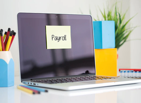 What Is A Payroll Ledger? How To Use And Create One(2022)
